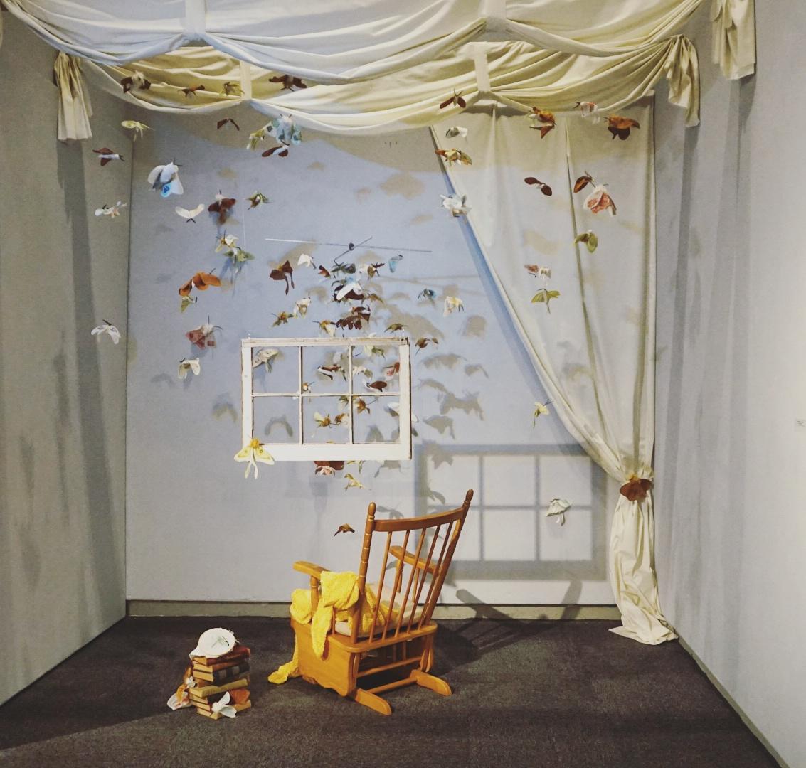 在佛罗里达州立大学（Florida State University）就读是一番怎样的体验？ - 知乎