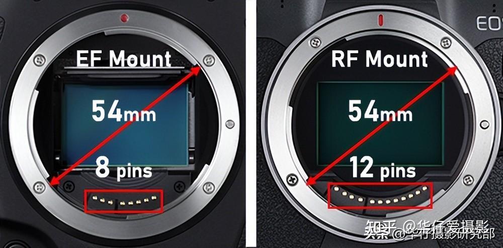 佳能的EF镜头和RF镜头到底有什么区别？ - 知乎