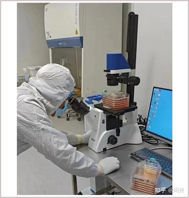 细胞工厂显微镜用于探索微观世界的奥秘 - 知乎