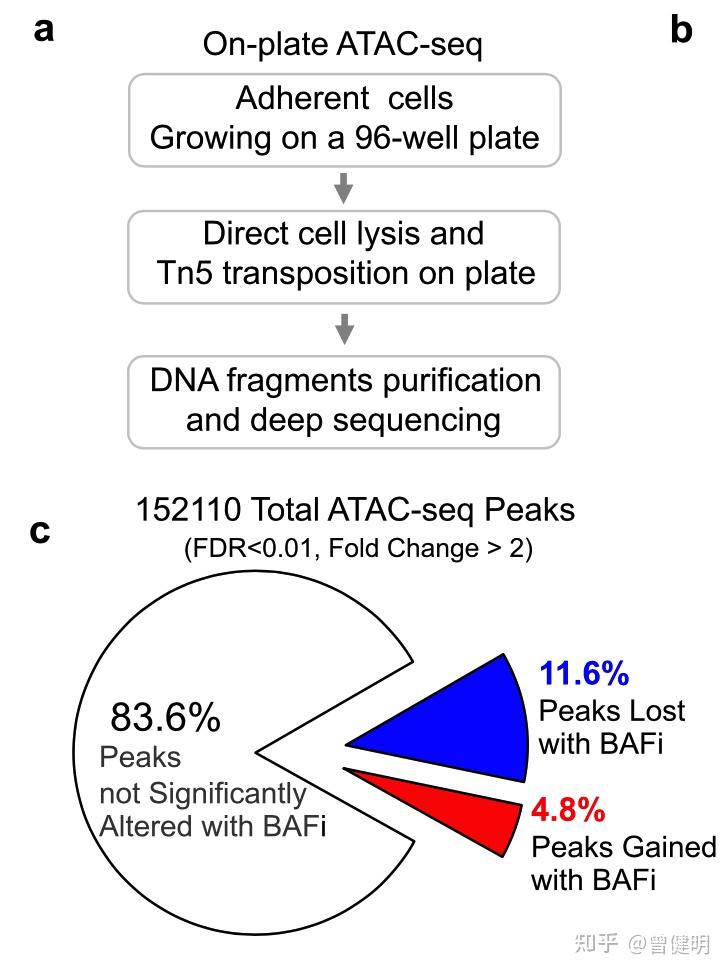 ATAC-seq的经典差异分析 - 知乎