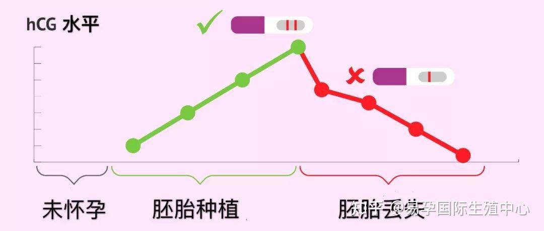 聊下从HCG翻倍的数值，我们可以看出来的问题 - 知乎