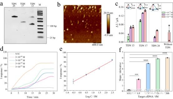 复旦大学团队最新NC！在可穿戴微针上使用基于四面体纳米结构的NgAgo对超痕量核酸进行长期监测 - 知乎