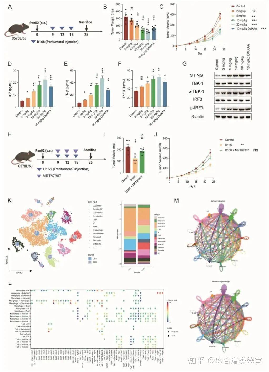 瑞金医院沈柏用团队：新型 STING 激动剂重塑胰腺癌免疫微环境 - 知乎