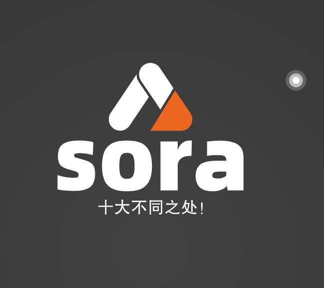 OpenAI发布文生视频模型sora | 2024年文生视频行业全景洞察报告 | AGI来临 | Sora的十大不同之处！ - 知乎