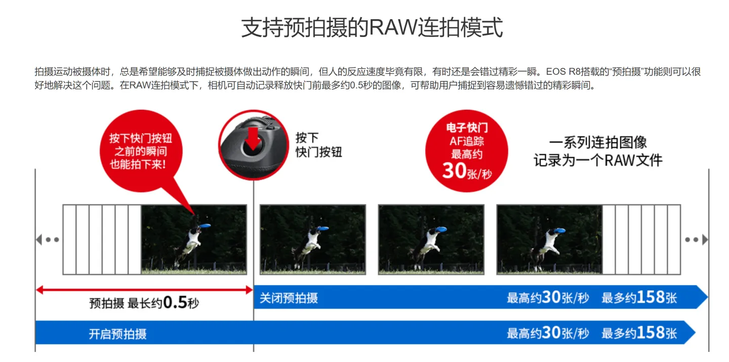 如何评价佳能新发布的 R8 ？ - 知乎