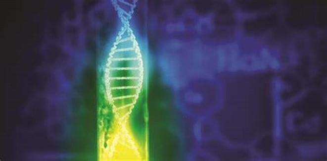 ISOPLEX®分子检测产品（LAMP法） - 知乎