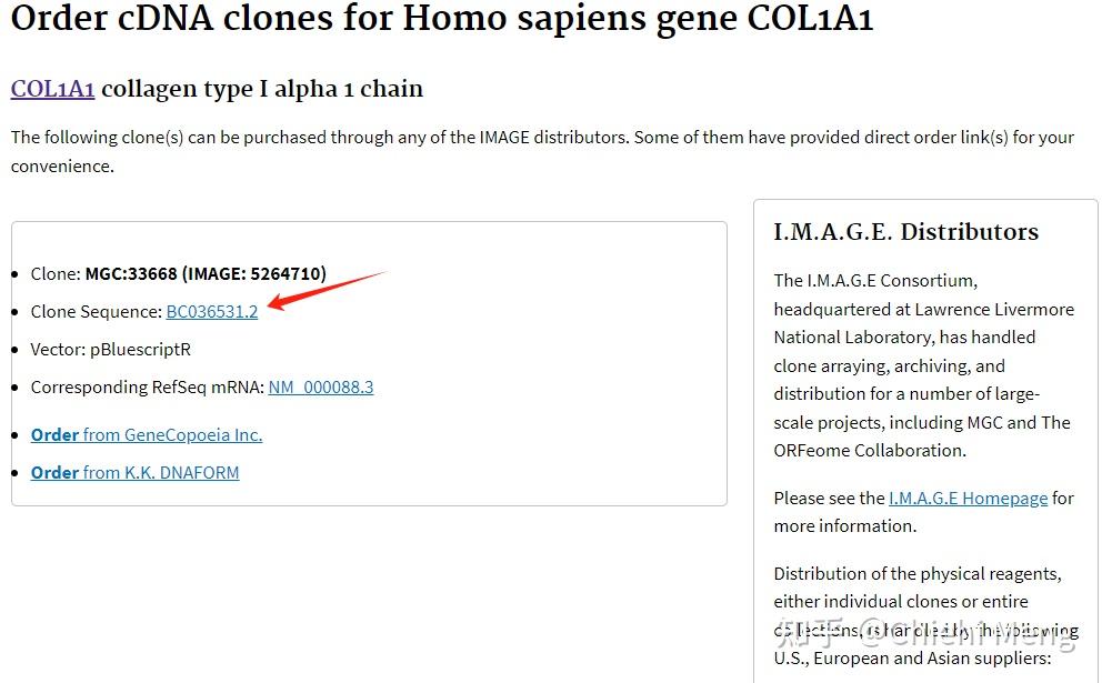 如何用ncbi查找相关基因cDNA序列？ - 知乎
