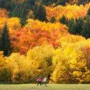 各种生存的意义：OS/PFI/PFS/DFS/DFI/DSS【收藏】 - 知乎