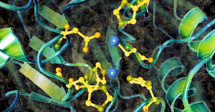 Nat. Commun. | 结合分子结构与生物活性的生成化学语言模型 - 知乎