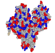 荧光染料PE-Cy3标记的牛血清白蛋白，Bovine Serum Albumin/PE-Cy3 - 知乎