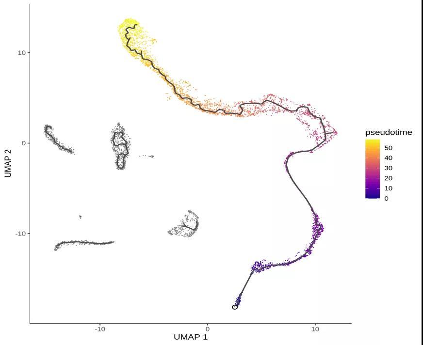 基于图谱的轨迹推断拟时序分析工具——Monocle3 - 知乎