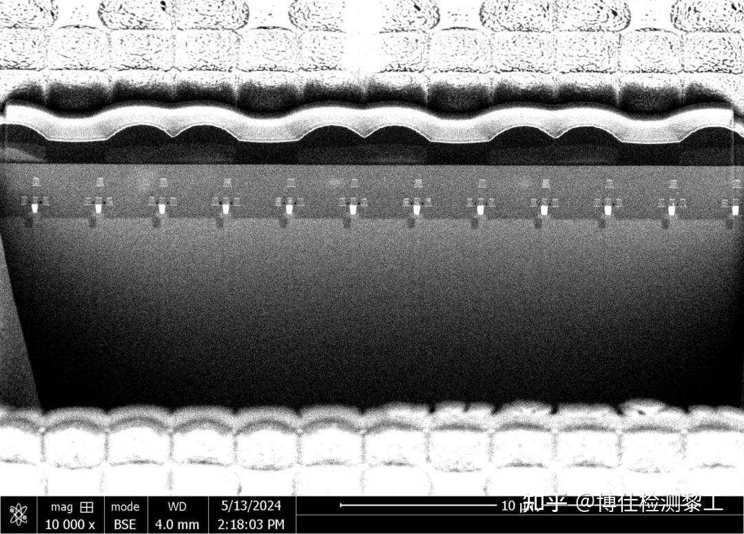 SPM / SEM / TEM / FIB这四种显微镜的区别是什么？ - 知乎