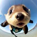 Windows打开pycharm提示 error occurred during initialization of vm，怎么解决 - 知乎