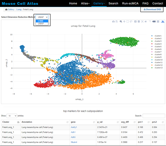 Mouse Cell Atlas：小鼠单细胞图谱，专业 - 知乎