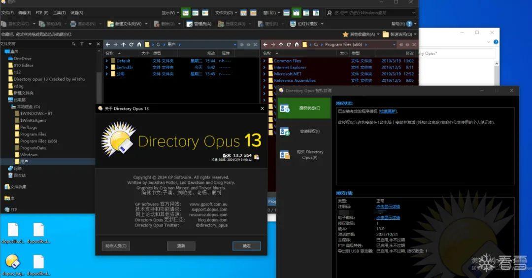 Directory Opus 13.2 逆向分析 - 知乎