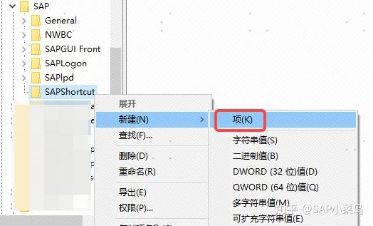 SAP GUI 760免密码登录快捷方式 - 知乎