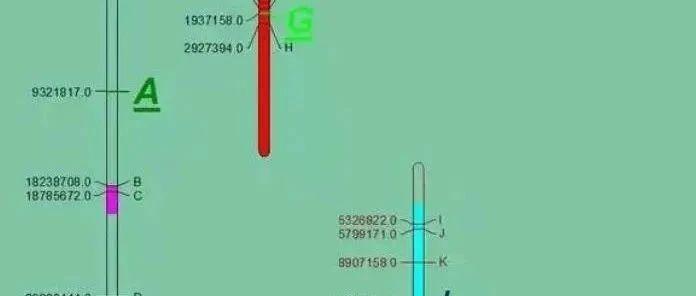 孟德尔随机化---Phenoscanner罢工如何去除混杂因素 - 知乎