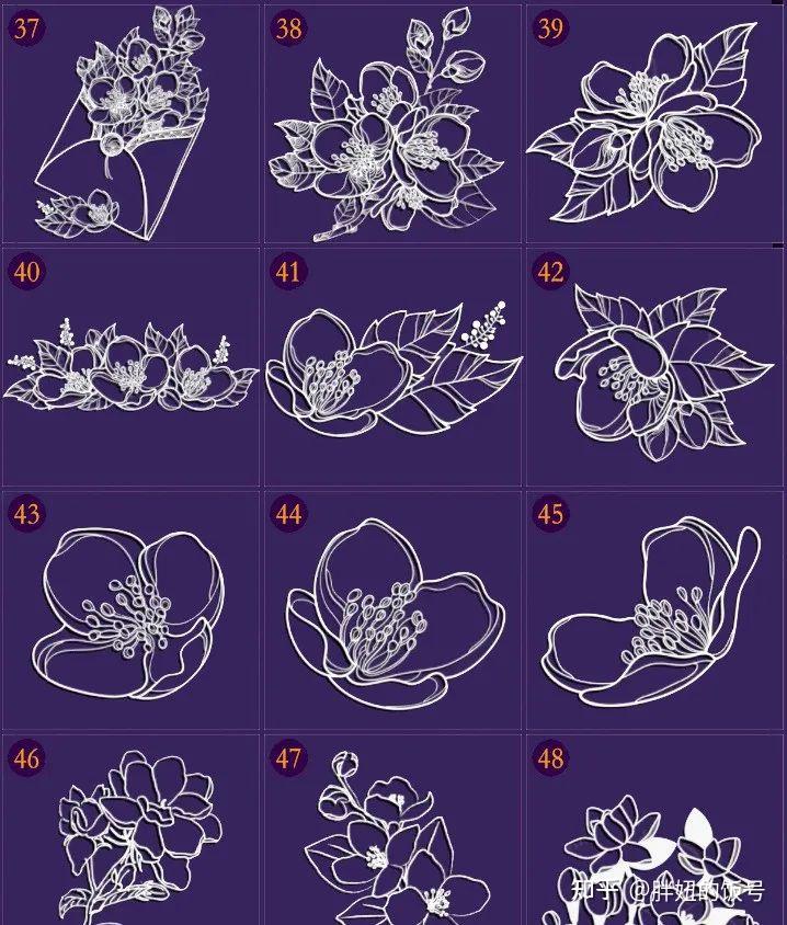 PS+procreate各种绝美花卉线稿笔刷 - 知乎
