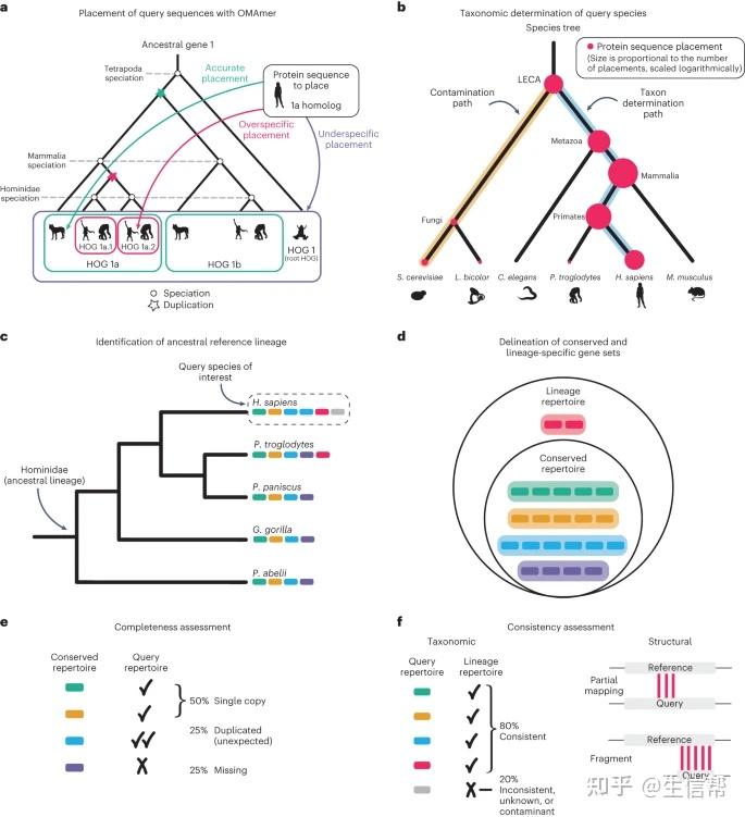 NBT｜使用OMArk对基因组注释进行质量评估(详细解读) - 知乎