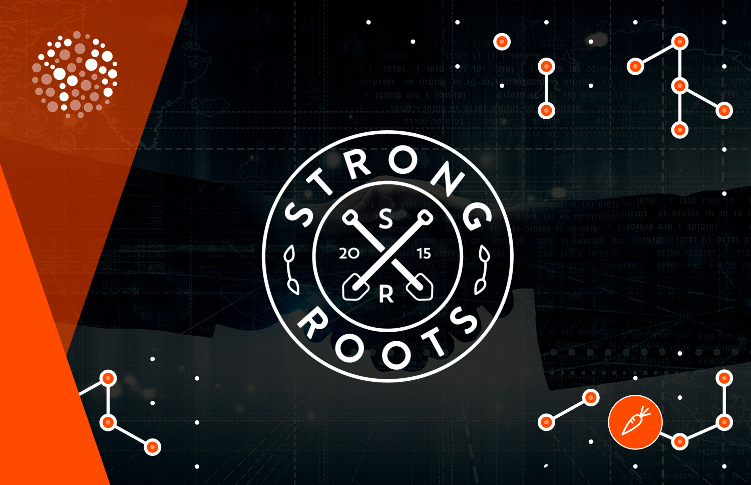 Strong Roots 冰冻食品类1200％ 年度增长的著名品牌加入INS - 知乎