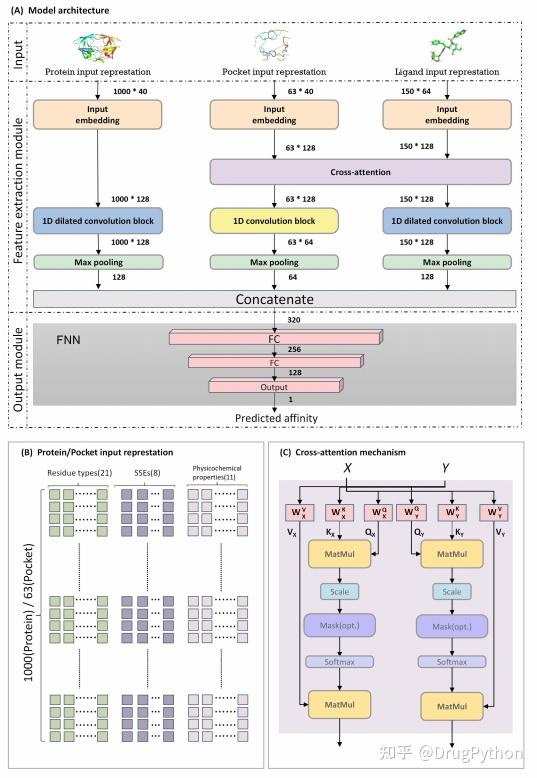 如何看待AlphaFold在国际蛋白质结构预测竞赛（CASP）上准确预测蛋白质3D结构？ - 知乎