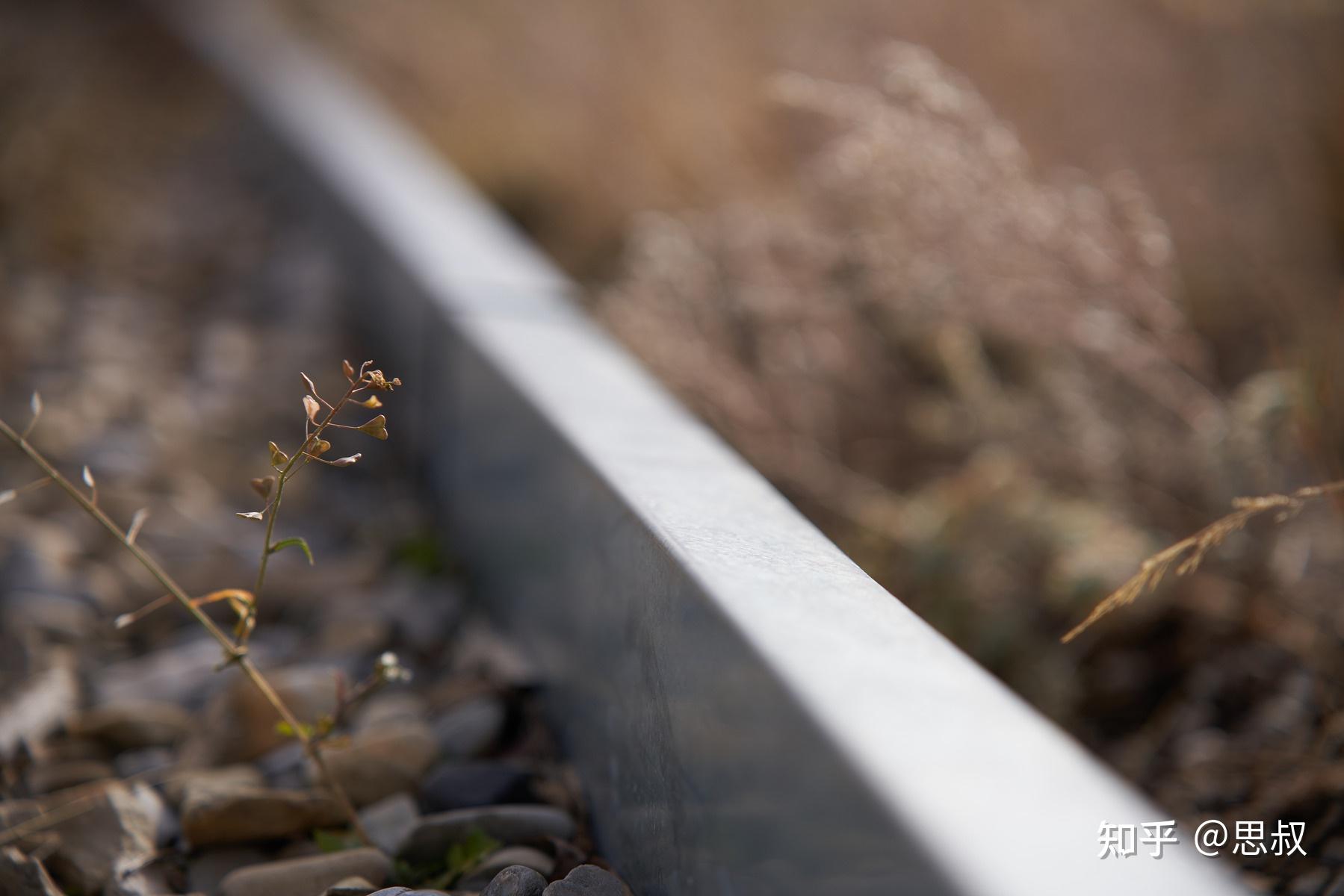 腾龙2875二代和28200选择哪个? - 知乎