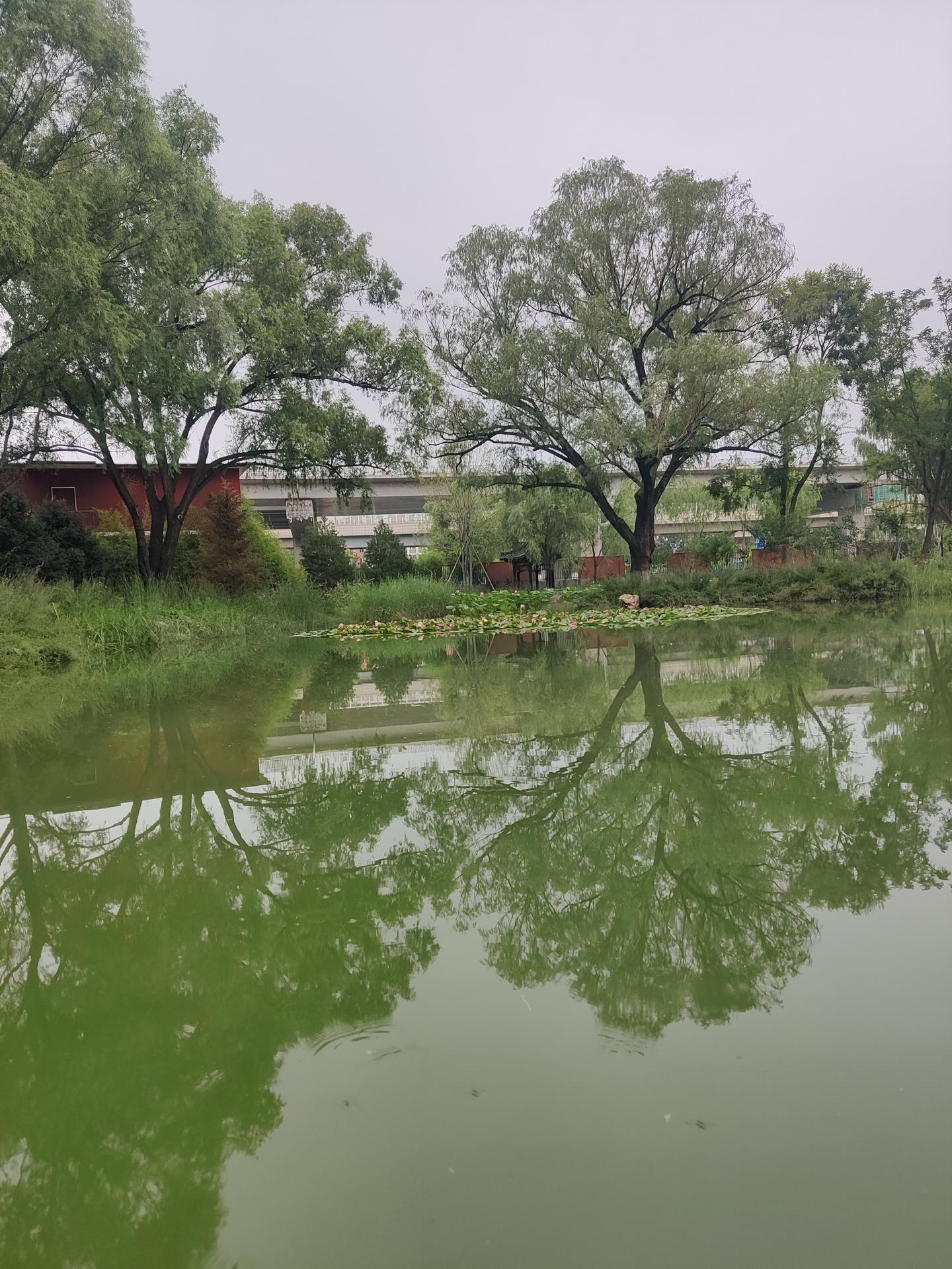 Vue基础（四）：vue安装及npx @vue/clie@4.5.15 create与npx vue create创建项目的区别 - 知乎