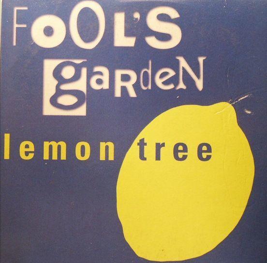 《Lemon Tree》:你是我的梦想，以梦开始，以想终止 - 知乎