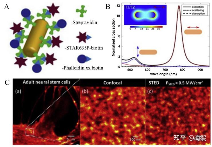 超分辨率显微镜的工作原理是什么？ - 知乎