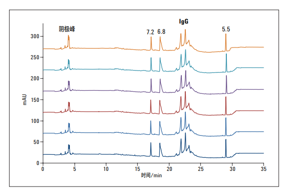 高效毛细管电泳cIEF技术 - 知乎