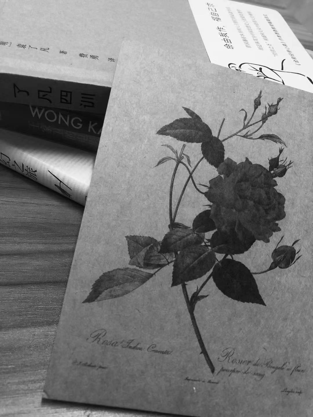 Anconda下载Pytorch遇到Retrying with flexible solve设置 - 知乎