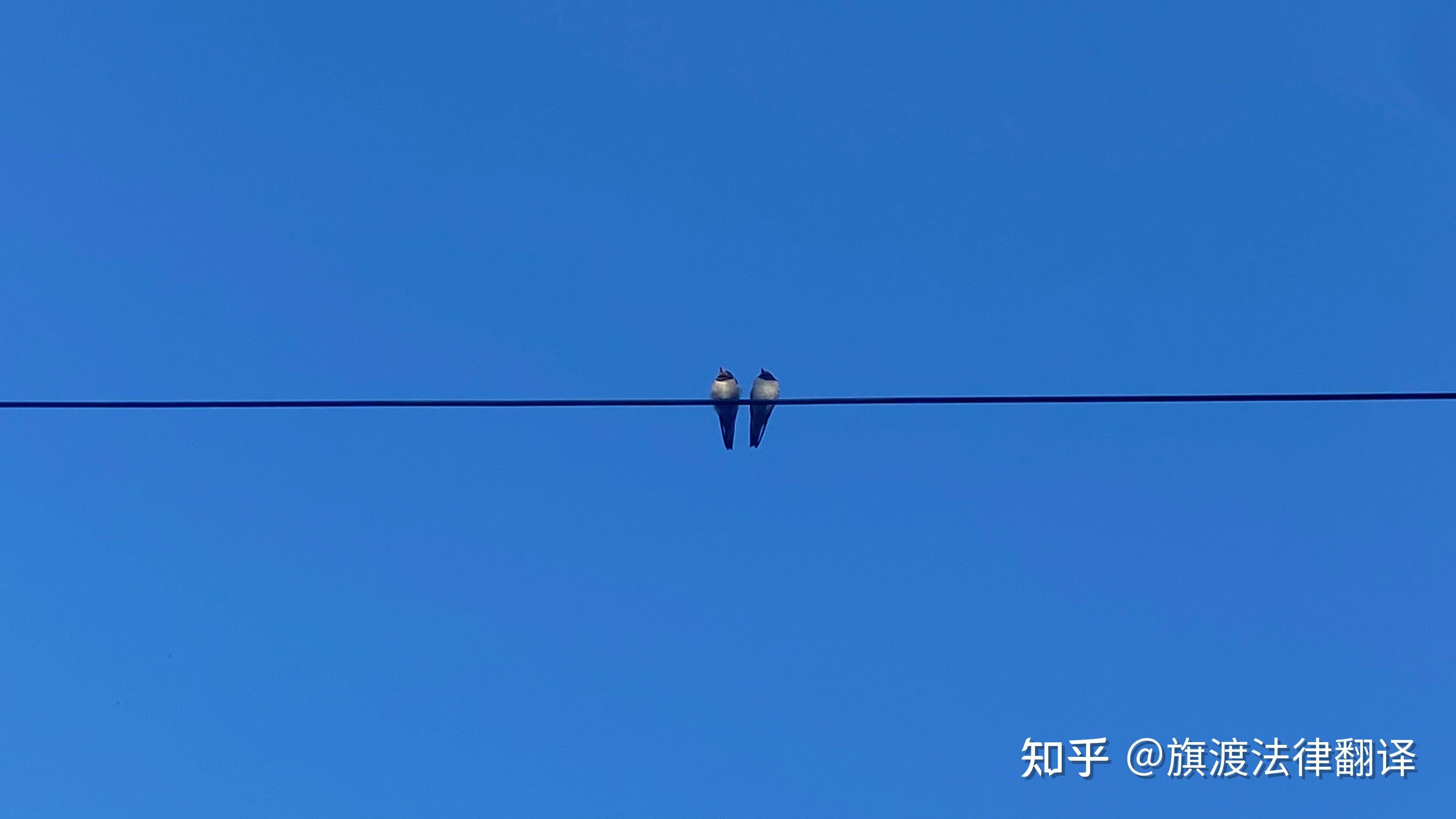 财务报表的Compile、Review和Audit - 知乎