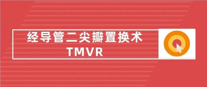 经导管二尖瓣置换的入路选择、并发症及技术挑战 - 知乎