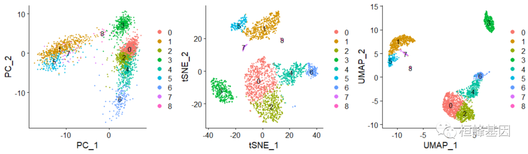 SCS【6】单细胞转录组之细胞类型自动注释 (SingleR) - 知乎