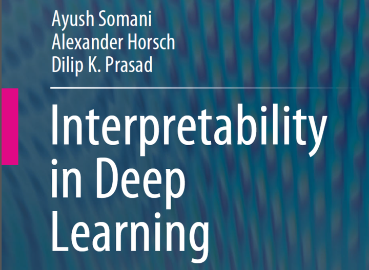 深度学习中的可解释性（Interpretability in Deep Learning） - 知乎
