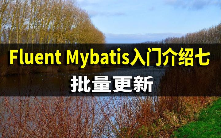 Fluent Mybatis入门介绍七：批量更新 - 知乎