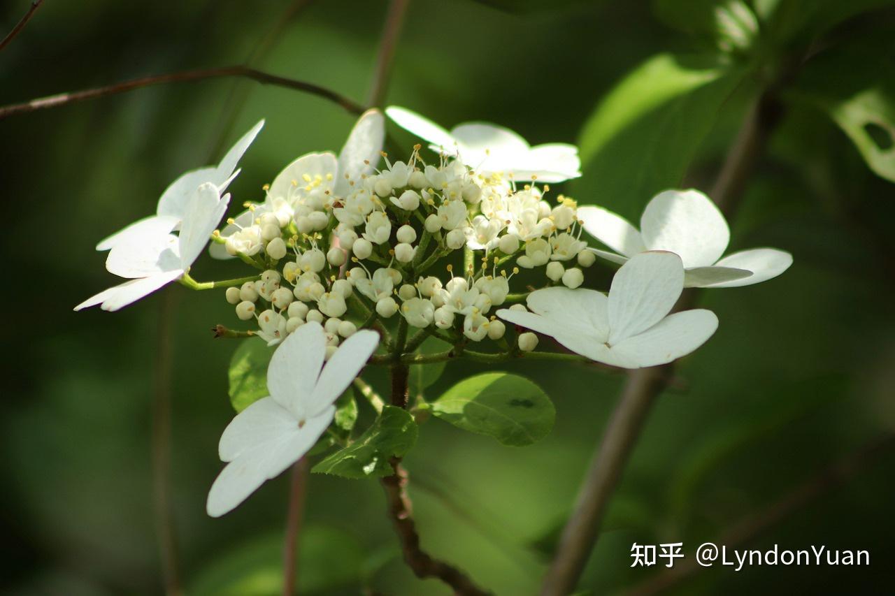 先声药业 PI3K/mTOR 通路抑制剂 Paxalisib 首次在国内申报临床，这意味着什么？ - 知乎