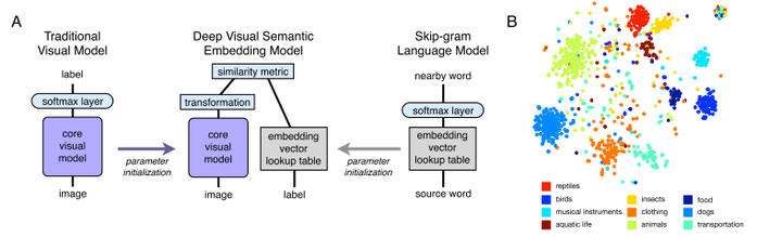 DeViSE: A Deep Visual-Semantic Embedding Model - 知乎