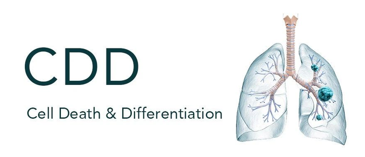 Cell Death Differ | 山东第一医科大学宋现让团队蛋白组学揭示肺癌转移机制 - 知乎