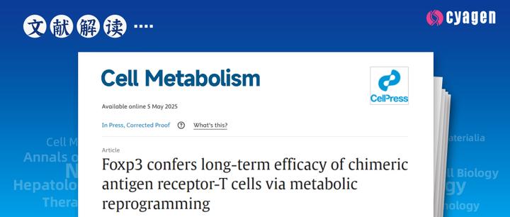 Cell Met（IF=27.7）丨复旦大学附属华山医院骆菲菲团队发现Foxp3通过代谢重编程提升CAR-T细胞抗实体瘤治疗疗效 - 知乎