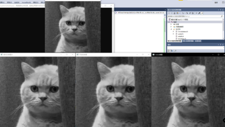极智AI | OpenCV and torchvision.transforms 实现图像等比例缩放方法 - 知乎