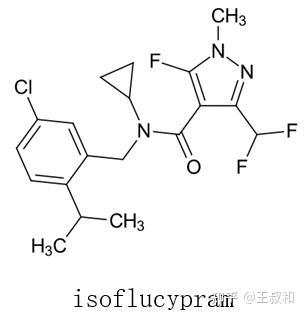 具有商业化前景的琥珀酸脱氢酶抑制剂（SDHI）类杀菌剂，王叔和一文说清楚 - 知乎