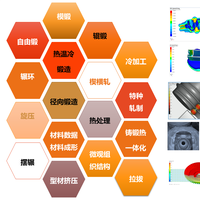 FORGE NxT 3.2 安装流程 - 知乎