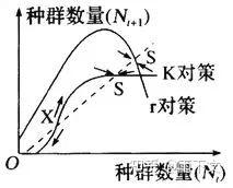 一次上香引发的思考：R、K策略 - 知乎