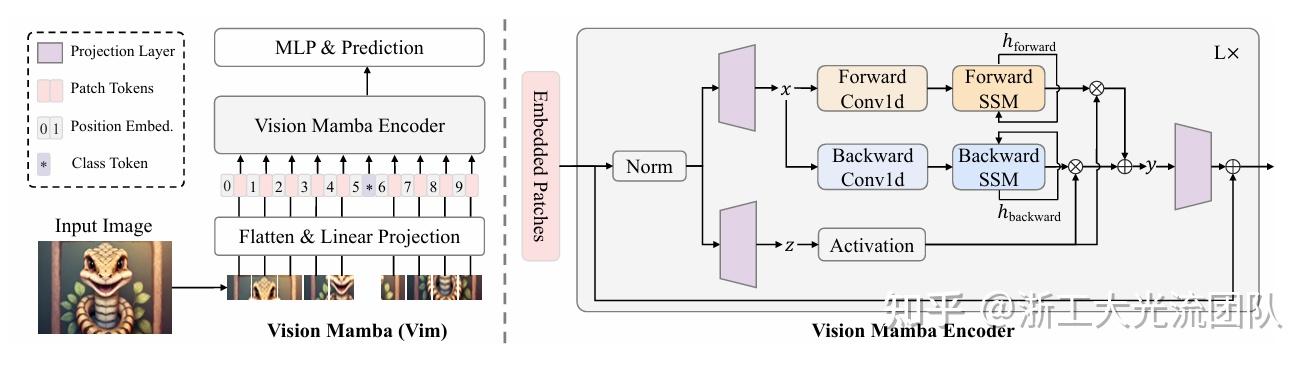 Mamba1 Out, Mamba2 In! - 知乎