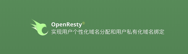 OpenResty实现用户私有域名绑定 - 知乎