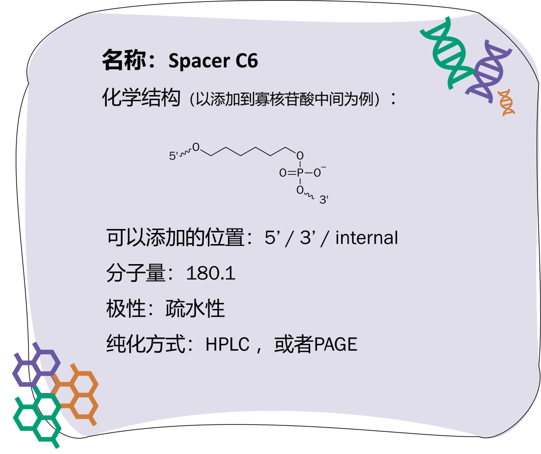 浅谈寡核苷酸spacer修饰的作用 - 知乎