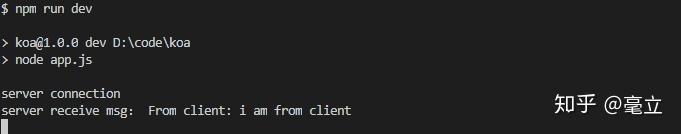 学习WebSocket(附: WebSocket + koa例子) - 知乎
