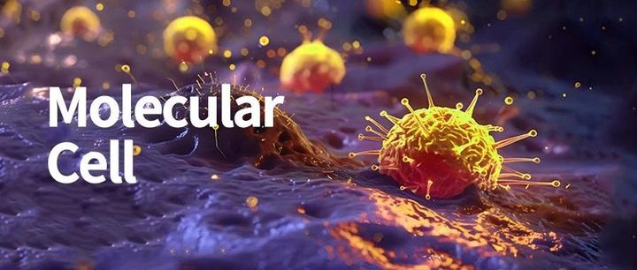 空间蛋白组新突破！Mol Cell | Mann团队空间新作解析肿瘤免疫微环境 - 知乎