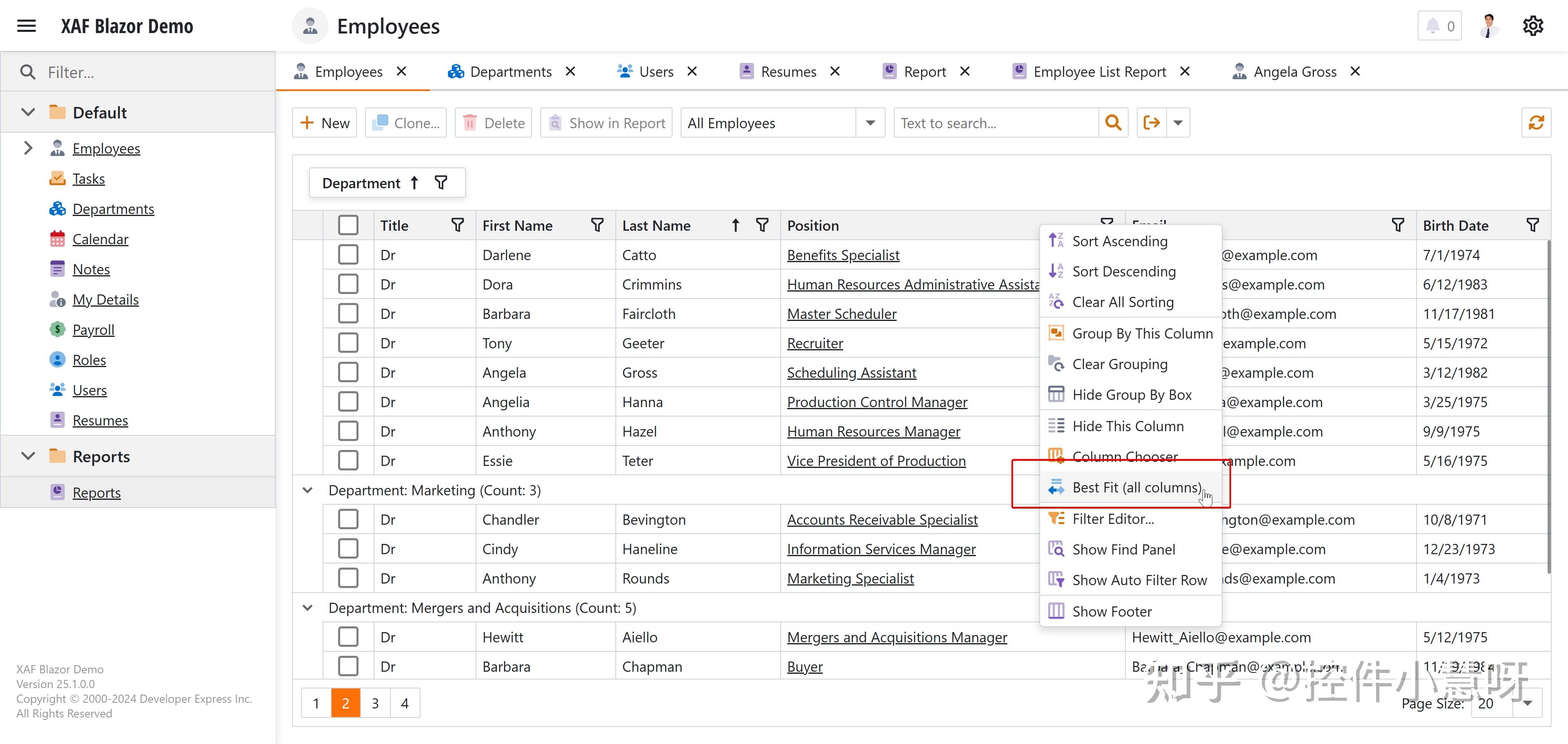 UI框架DevExpress XAF v25.1预览 - ASP.NET Core Blazor UI - 知乎